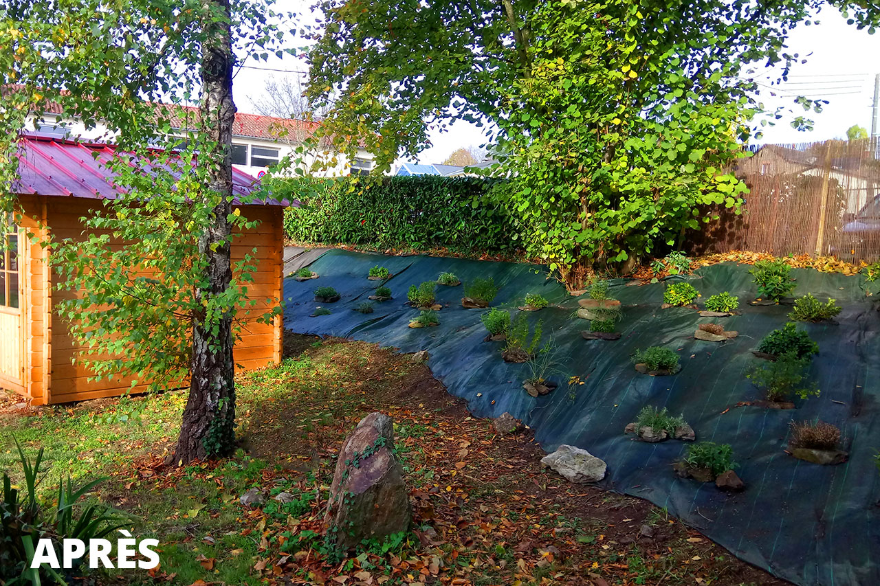 Talus après intervention - Ambiance Green Paysage
